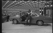 Detroit Auto Show model | DPL DAMS