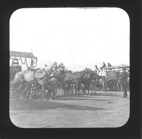 Teams of horses at a Detroit Driving Club event | DPL DAMS