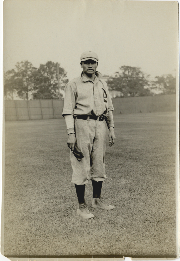 Lou Bruce | DPL DAMS