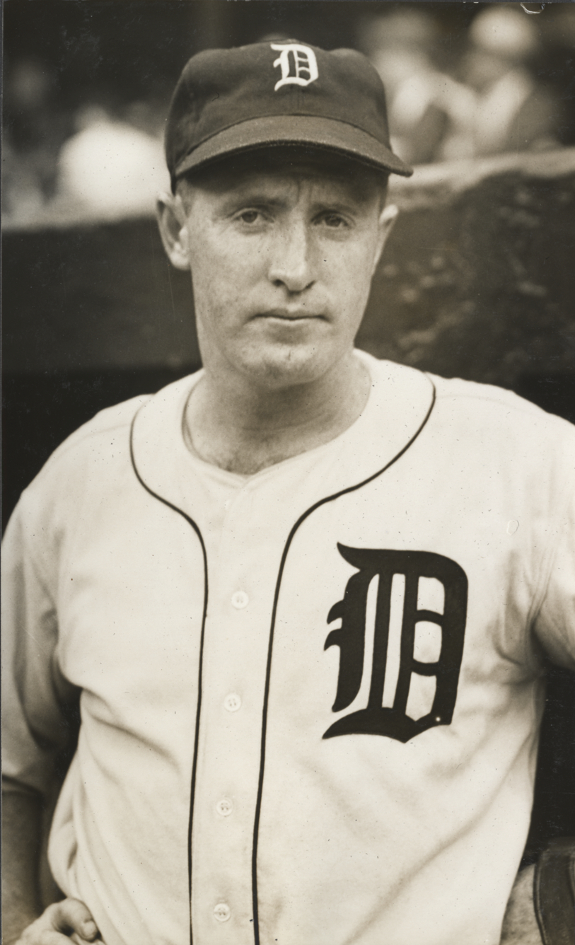 Red Kress | DPL DAMS