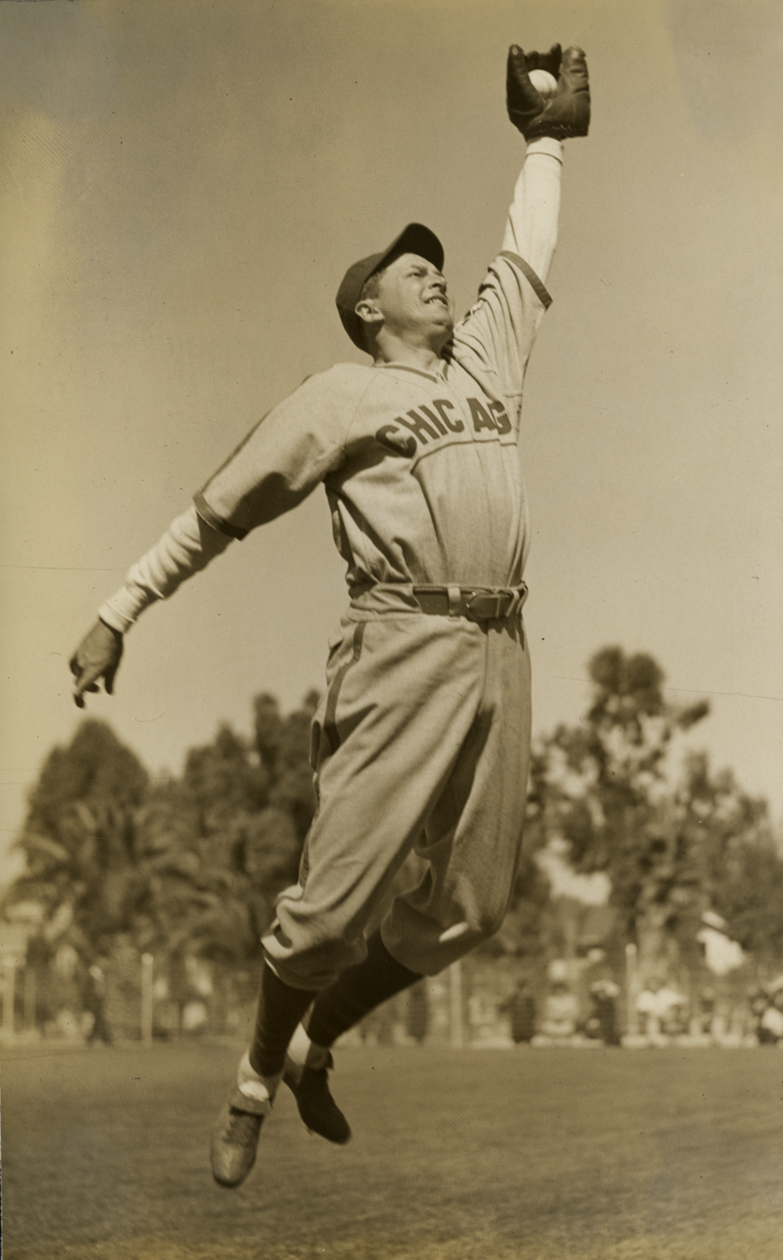 Stan Hack | DPL DAMS