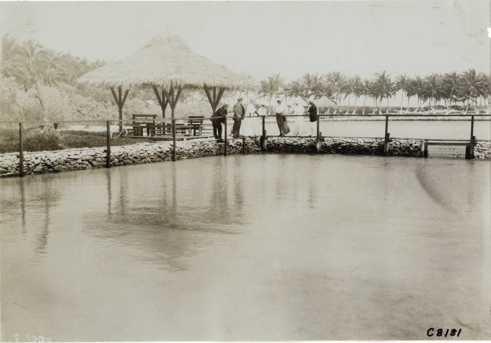 Lagoon and shelter on Salt Cay island | DPL DAMS