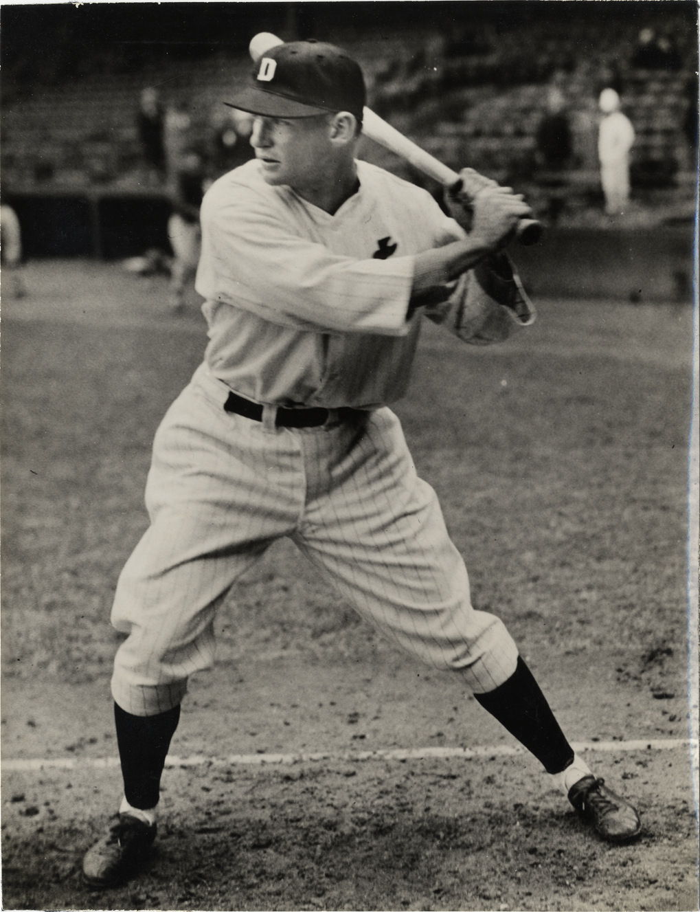 Harry Davis | DPL DAMS