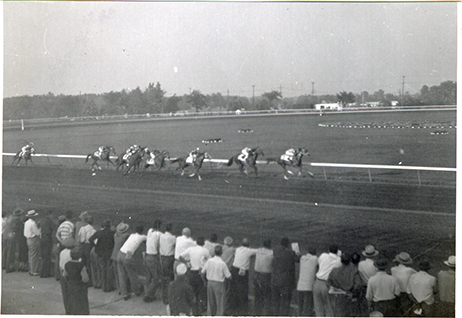 Spectators watching horse race, Hazel Park Raceway | DPL DAMS