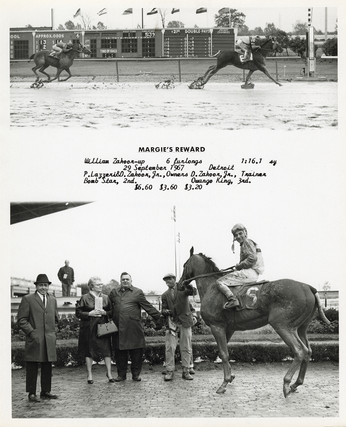 Margie's Reward, racehorse, Detroit Race Course | DPL DAMS